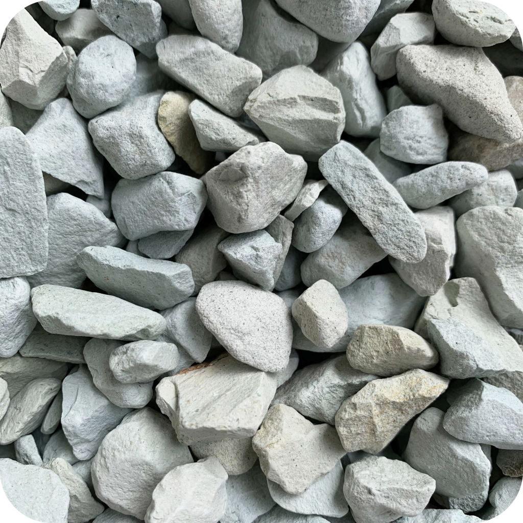 Zeolith - floraceae